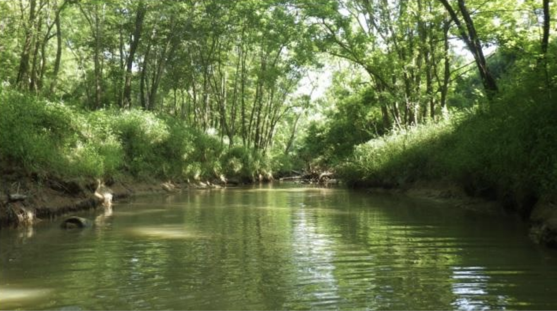 Texas Supreme Court: Protect Texas bayous, rivers, and lakes by ...